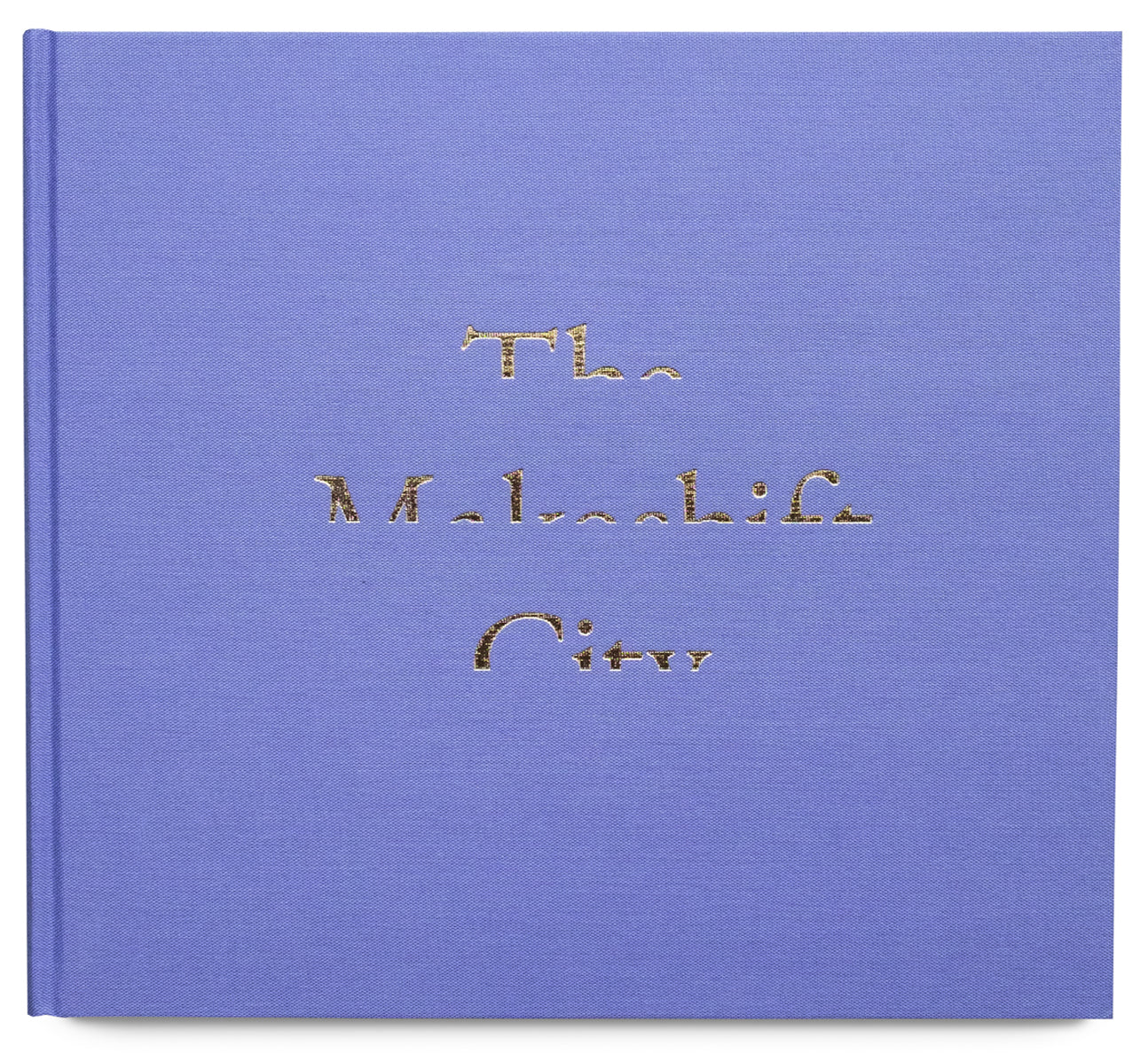 The Makeshift City – GOST Books